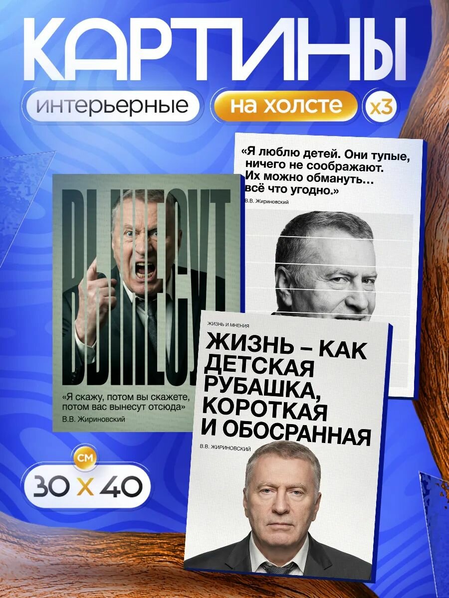 Набор из трех картин на стену 30х40 мем Жириновский Владимир