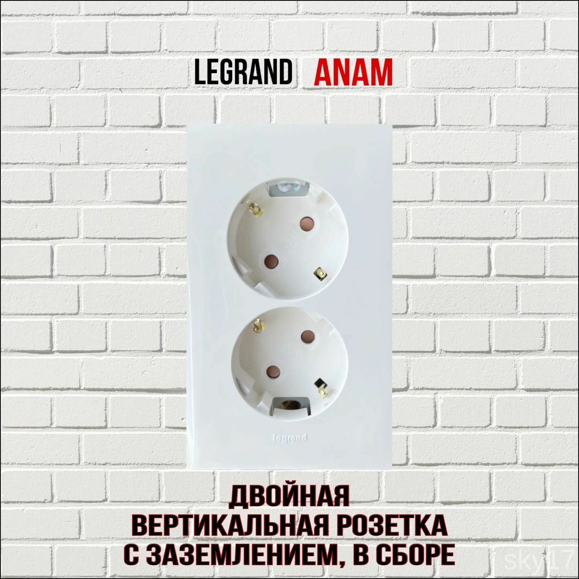 Розетка двойная Legrand Anam с заземлением вертикальная (45 градусов) в сборе