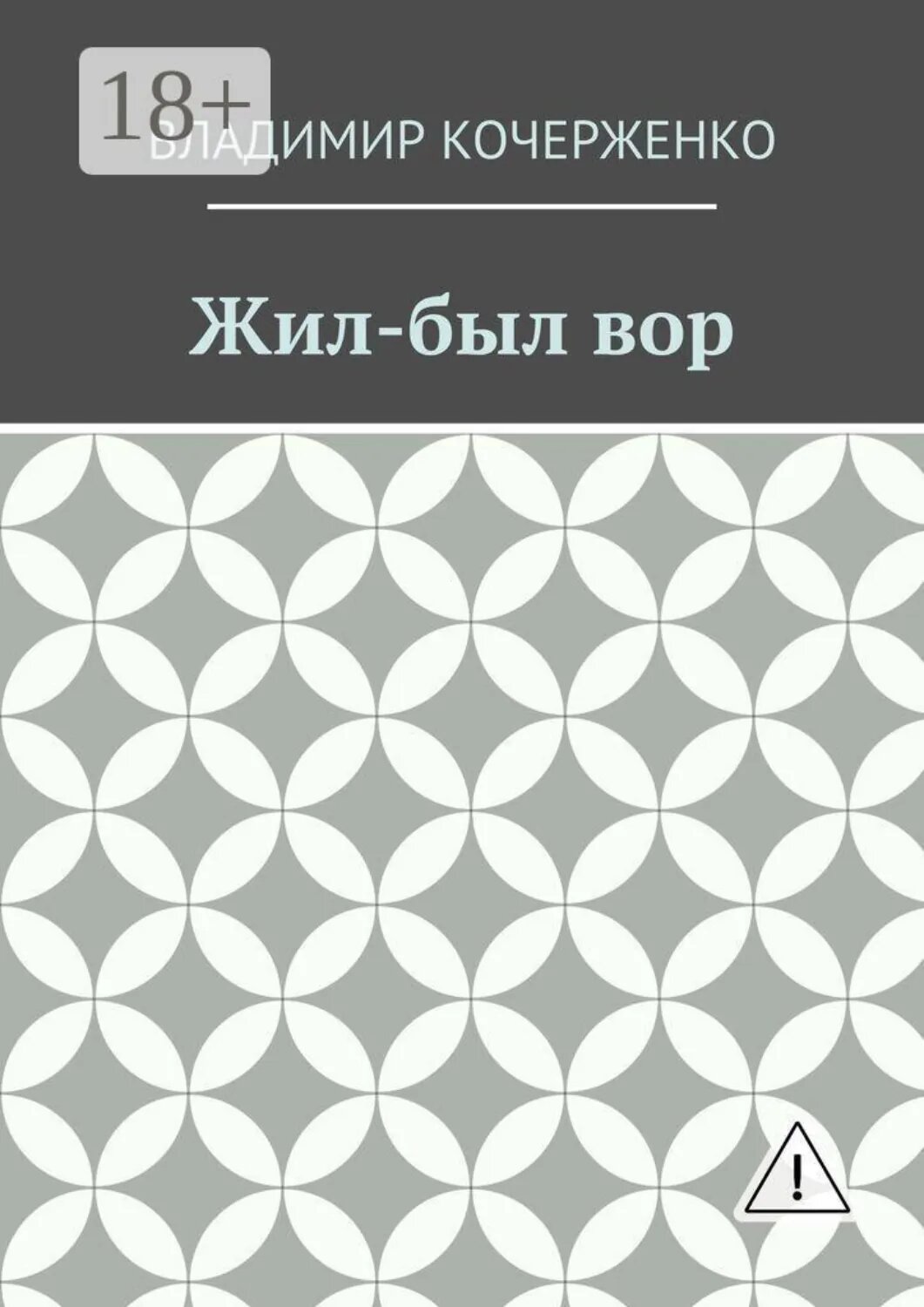 Жил-был вор [Цифровая книга]
