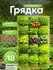 Грядка, 1.02х0.52 м