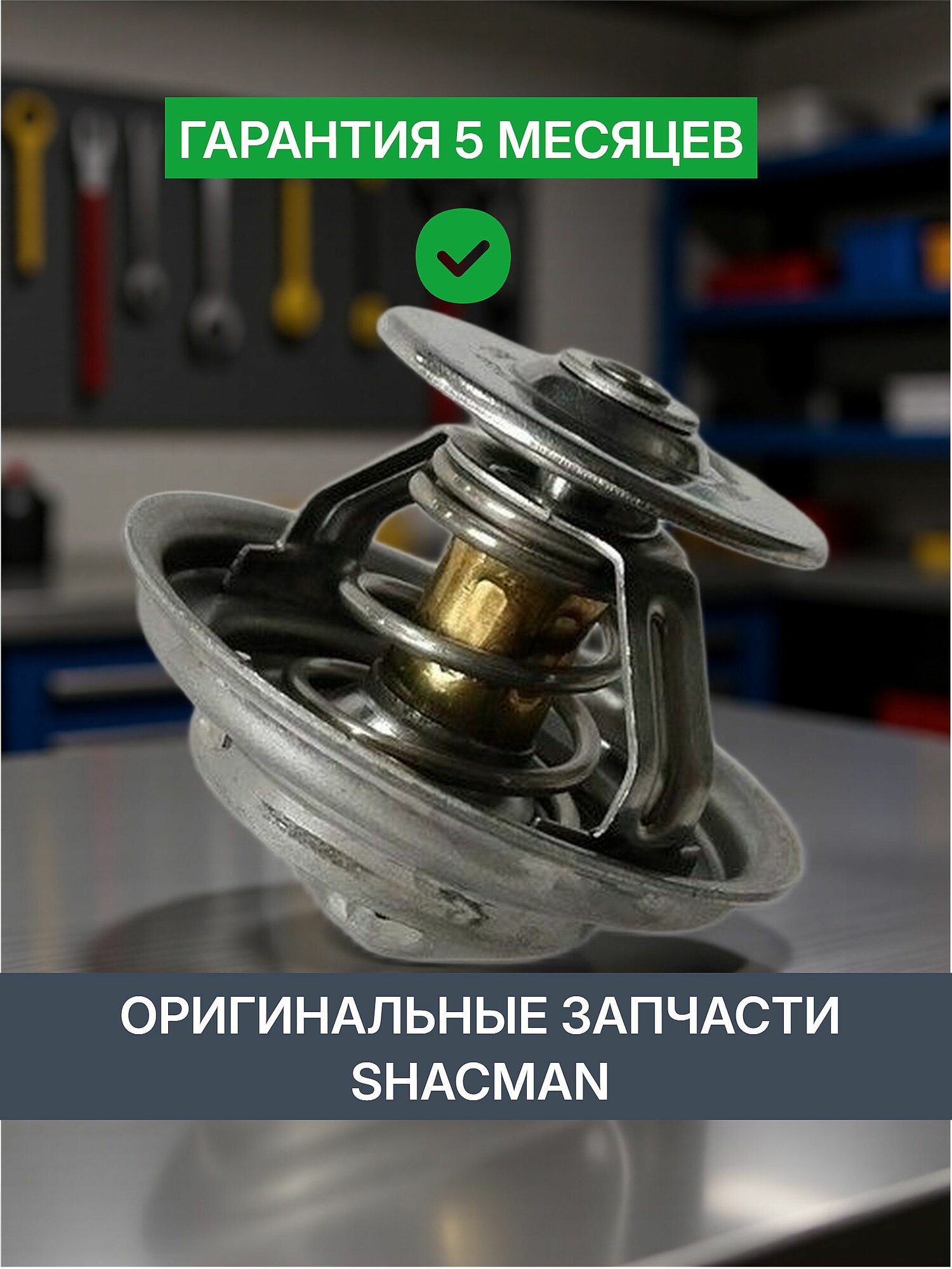 Термостат WP12