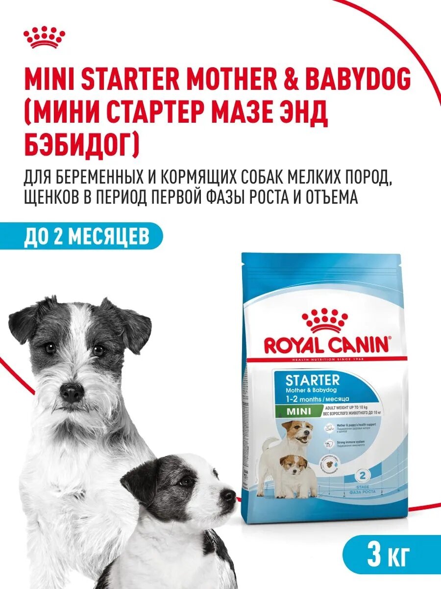 Сухой корм для щенков Royal Canin Mini Starter для беременных и кормящих собак мелких пород, 3 кг