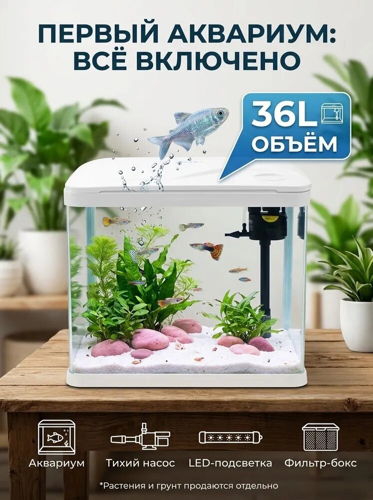 36 л настольный с фильтром и LED подсветкой, стеклянный 5 мм, тихий комплект для начинающих дома и офиса