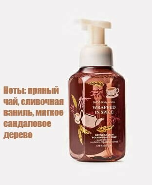 Bath and Body Works мыло пенка Wrapped In Spice (259 мл)
