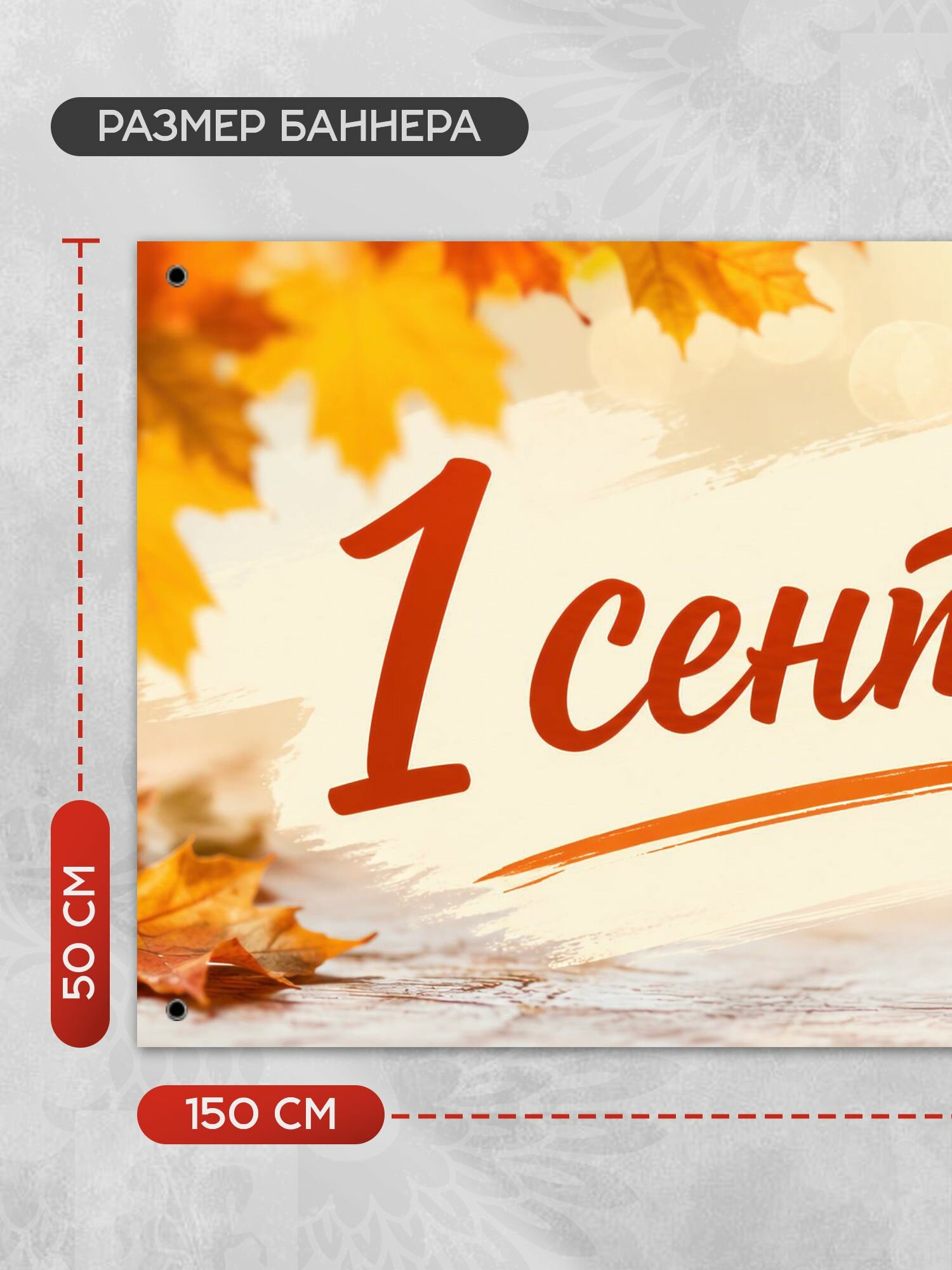 Баннер 1 сентября — фото 1