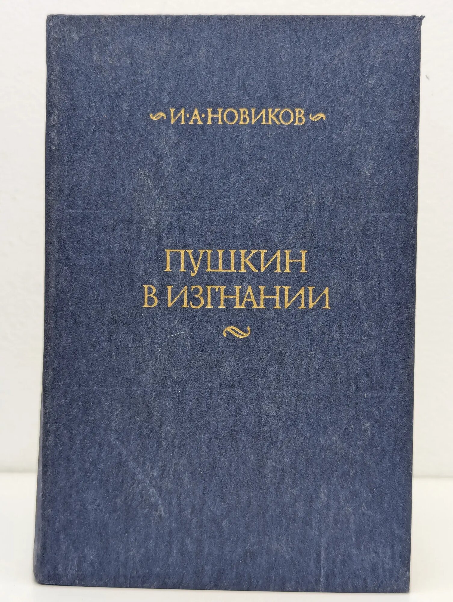Библиотечная серия. Пушкин в изгнании Новиков Иван Алексеевич 1985