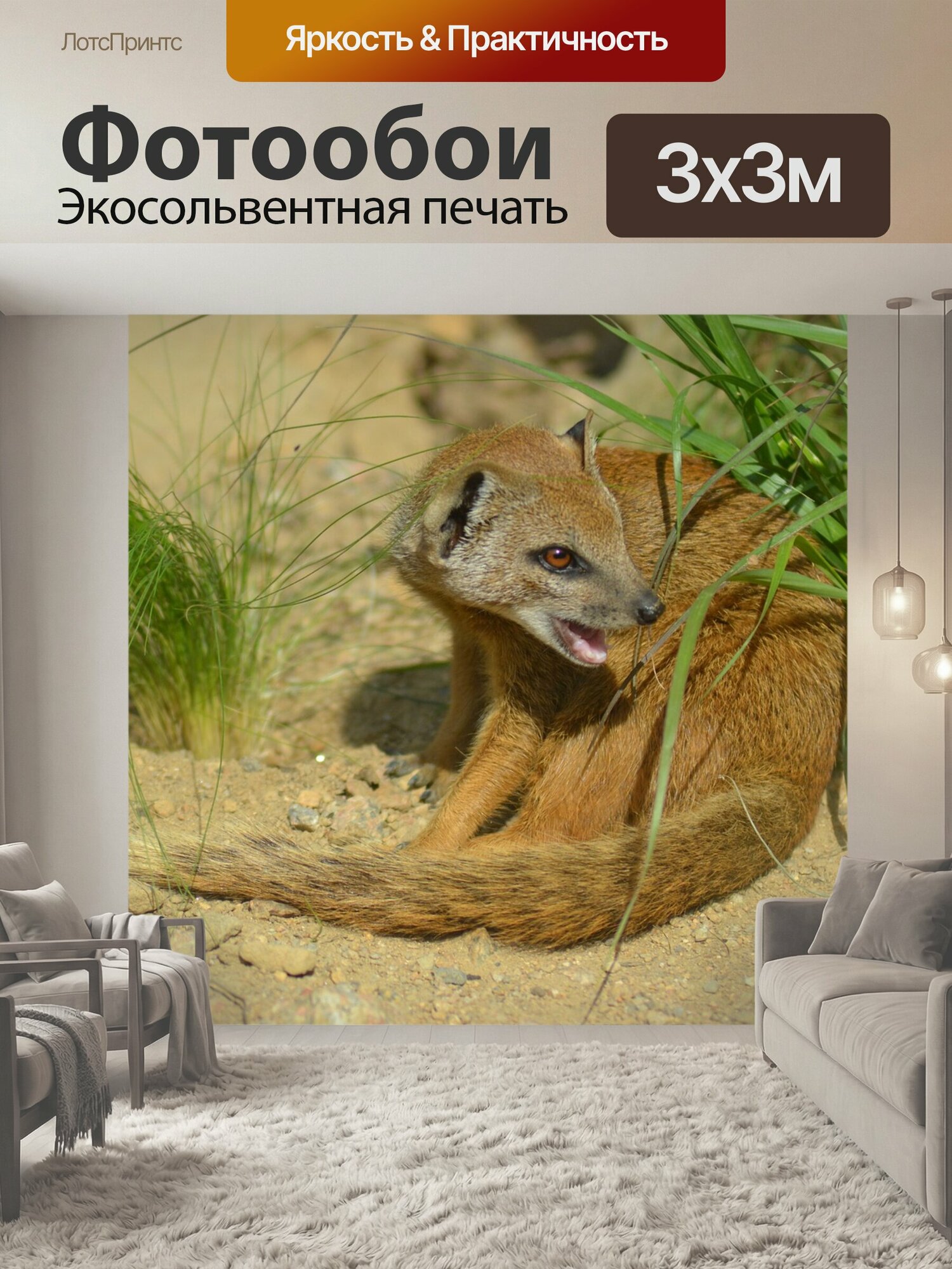 Фотообои "Желтый мангуст, cynictis penicillata, африка" 300x300 см. экосольвентная печать