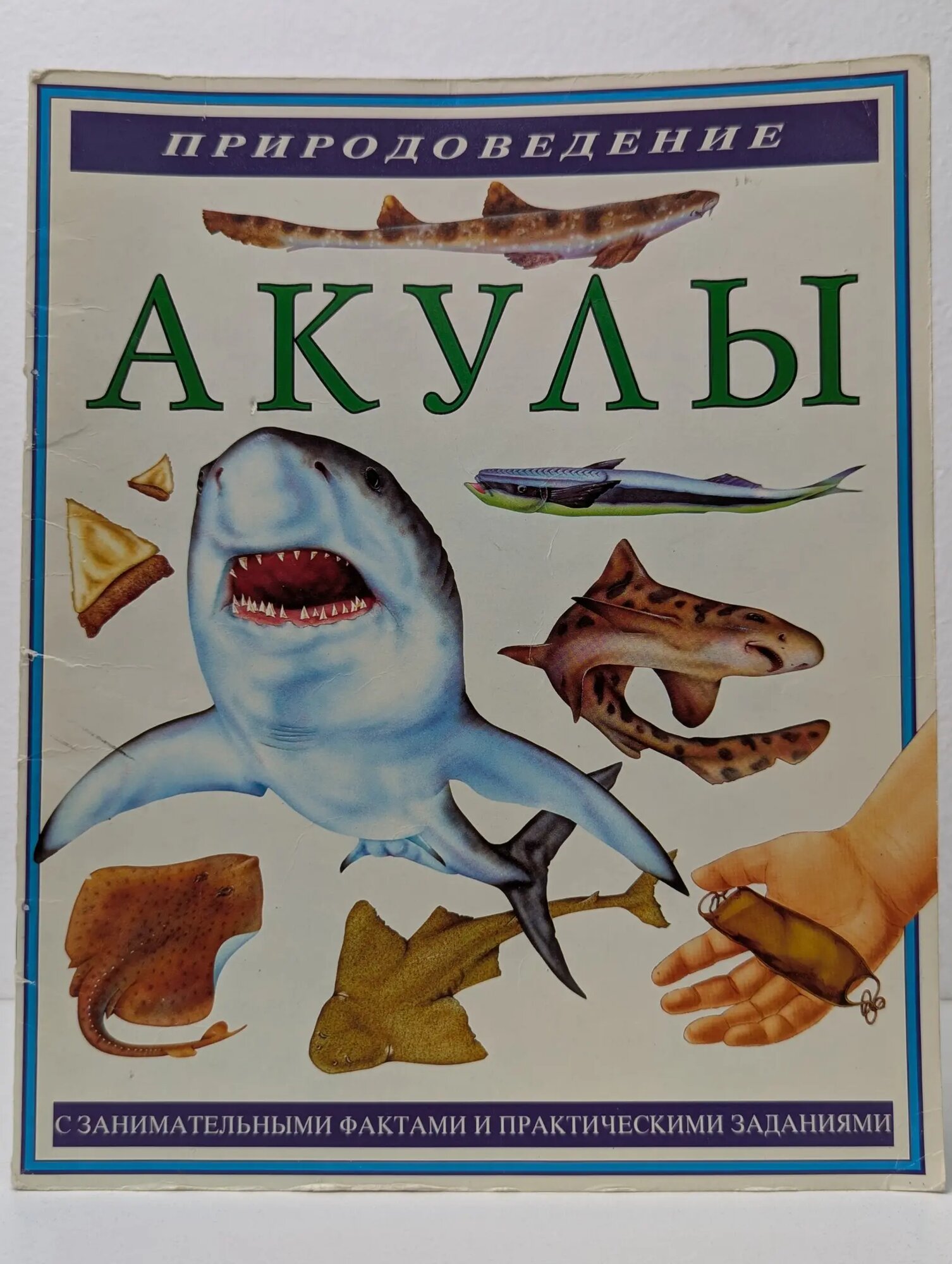 Природоведение. Акулы Уокер Джейн 1996