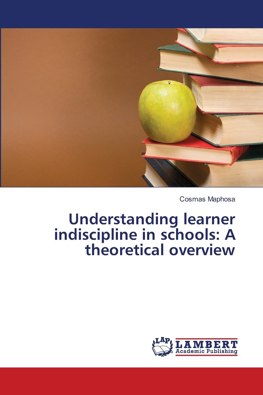 Understanding learner indiscipline in schools. A theoretical overview — фото 1