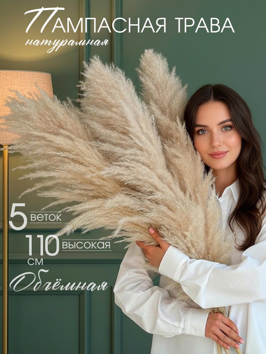 Сухоцветы Sunflowers Пампасная трава, натуральная, высокая, бежевые, 5шт. 110см