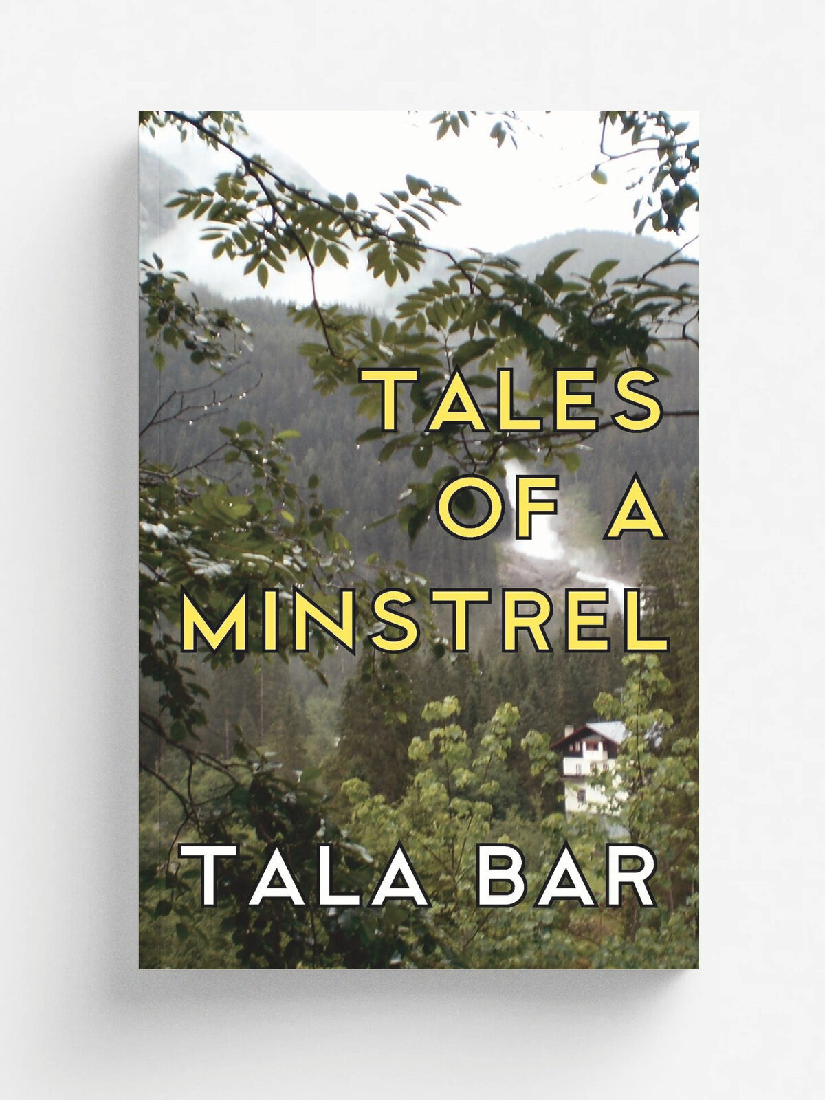 Tales of a Minstrel