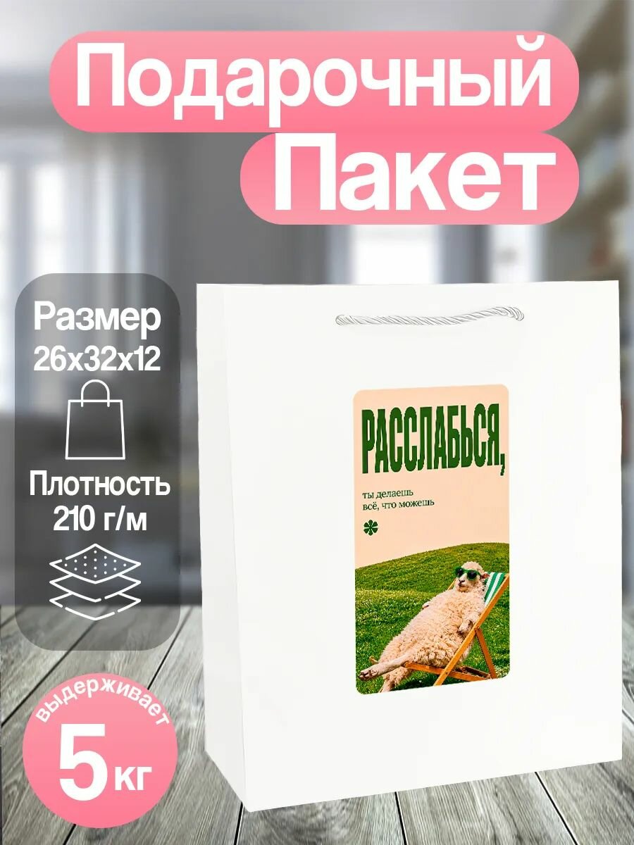 Пакет подарочный мотивирующие фразы