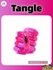 Tangle/ Сосредоточенность/Компрессионные игрушки