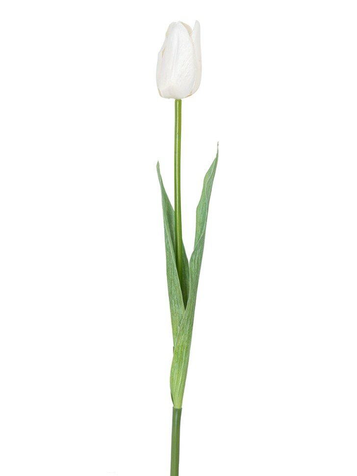 Fiebiger Floristik 203612-100 Цветок декоративный "Тюльпан", 50 см