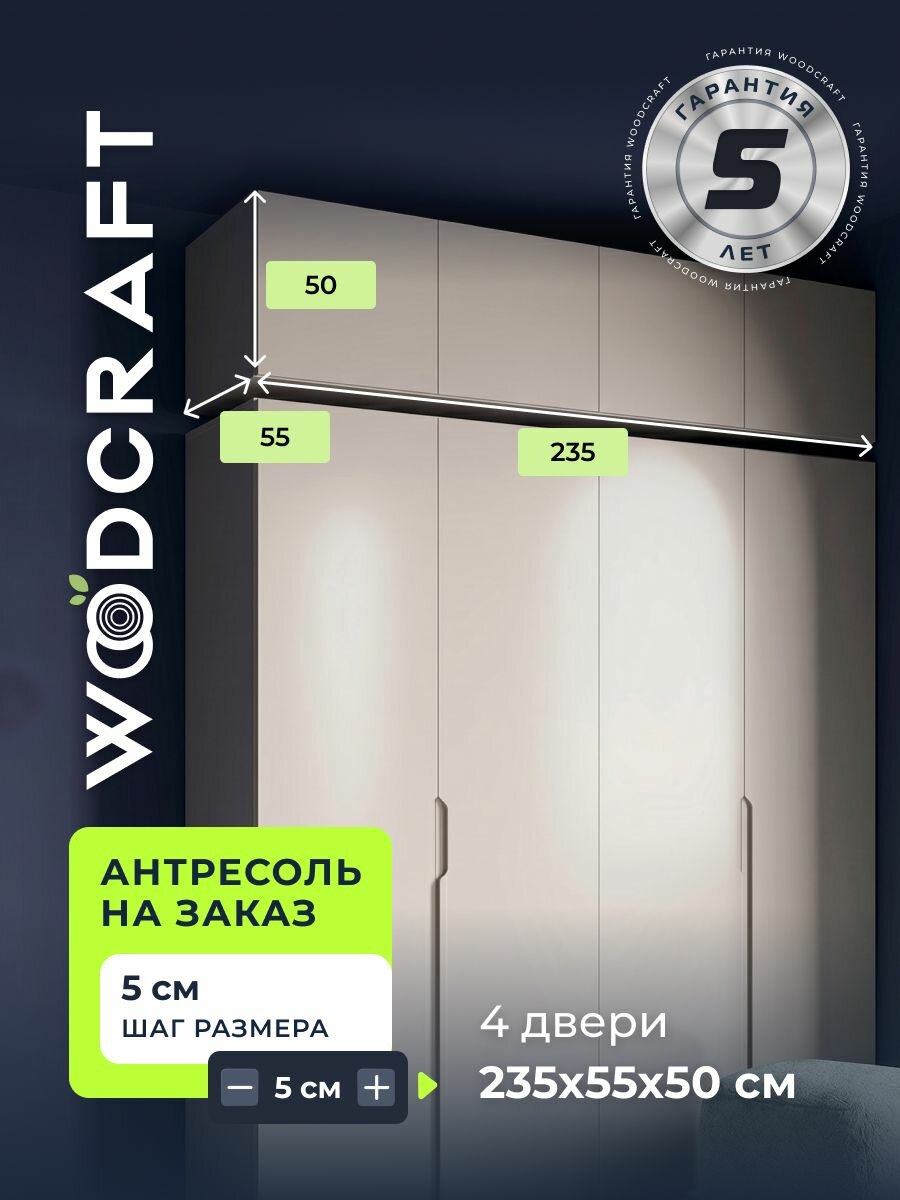 Антресоль-4-235-55-50 Велюр