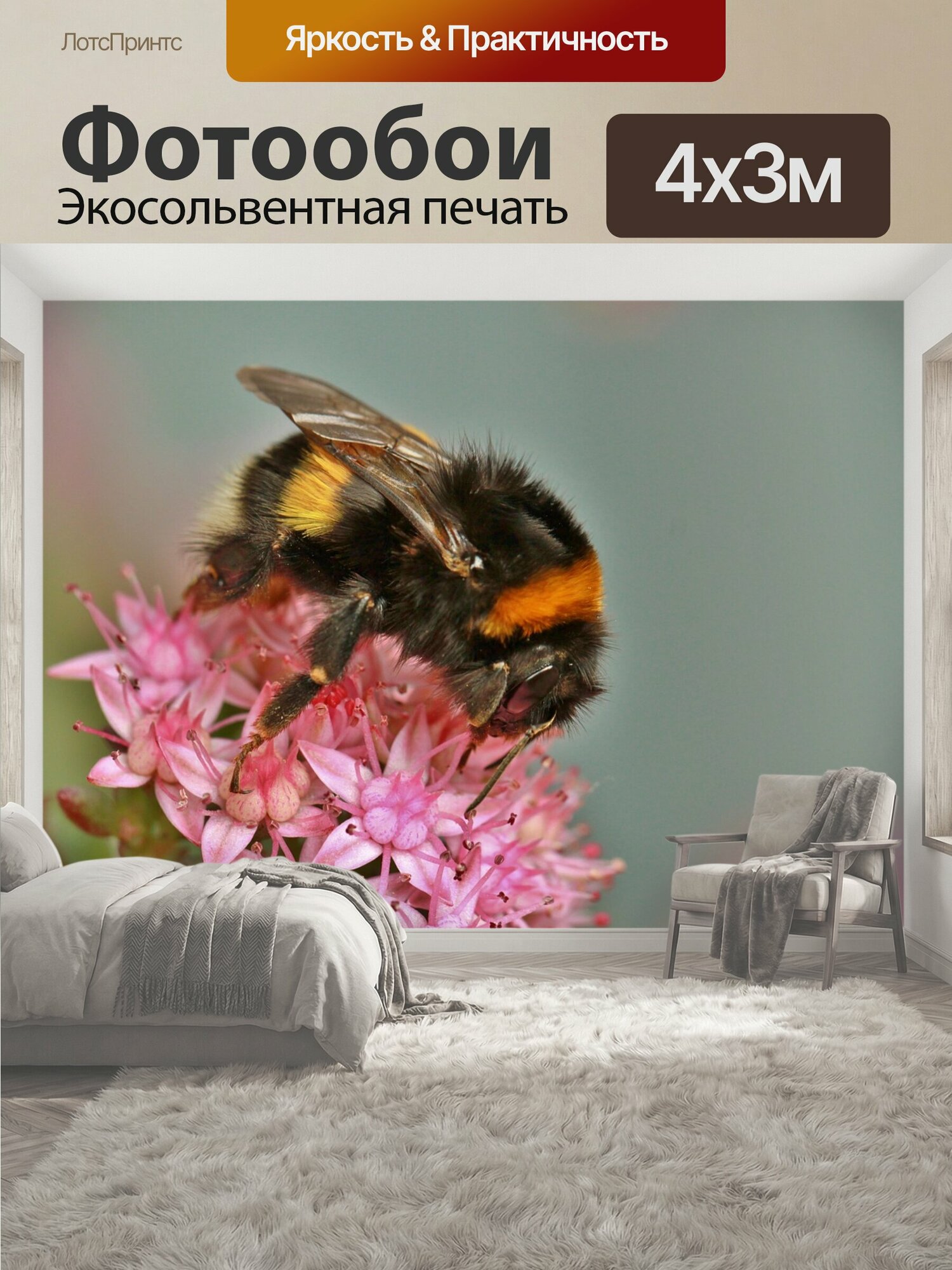 Фотообои "Шмель, насекомое, животное" 400x300 см. экосольвентная печать