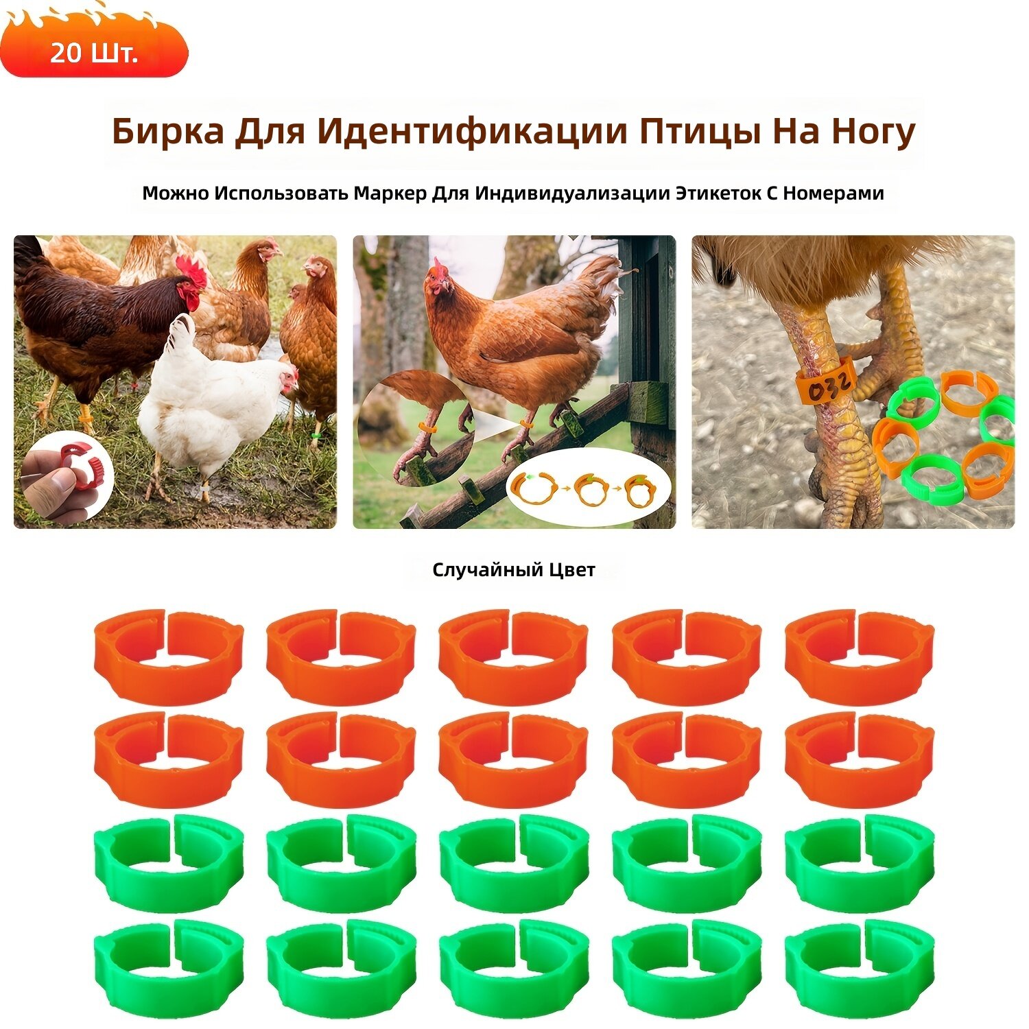 20 шт. Многоразовые регулируемые ножные кольца для кур, уток и гусей, идентификационные кольца для птицы, цвета в ассортименте