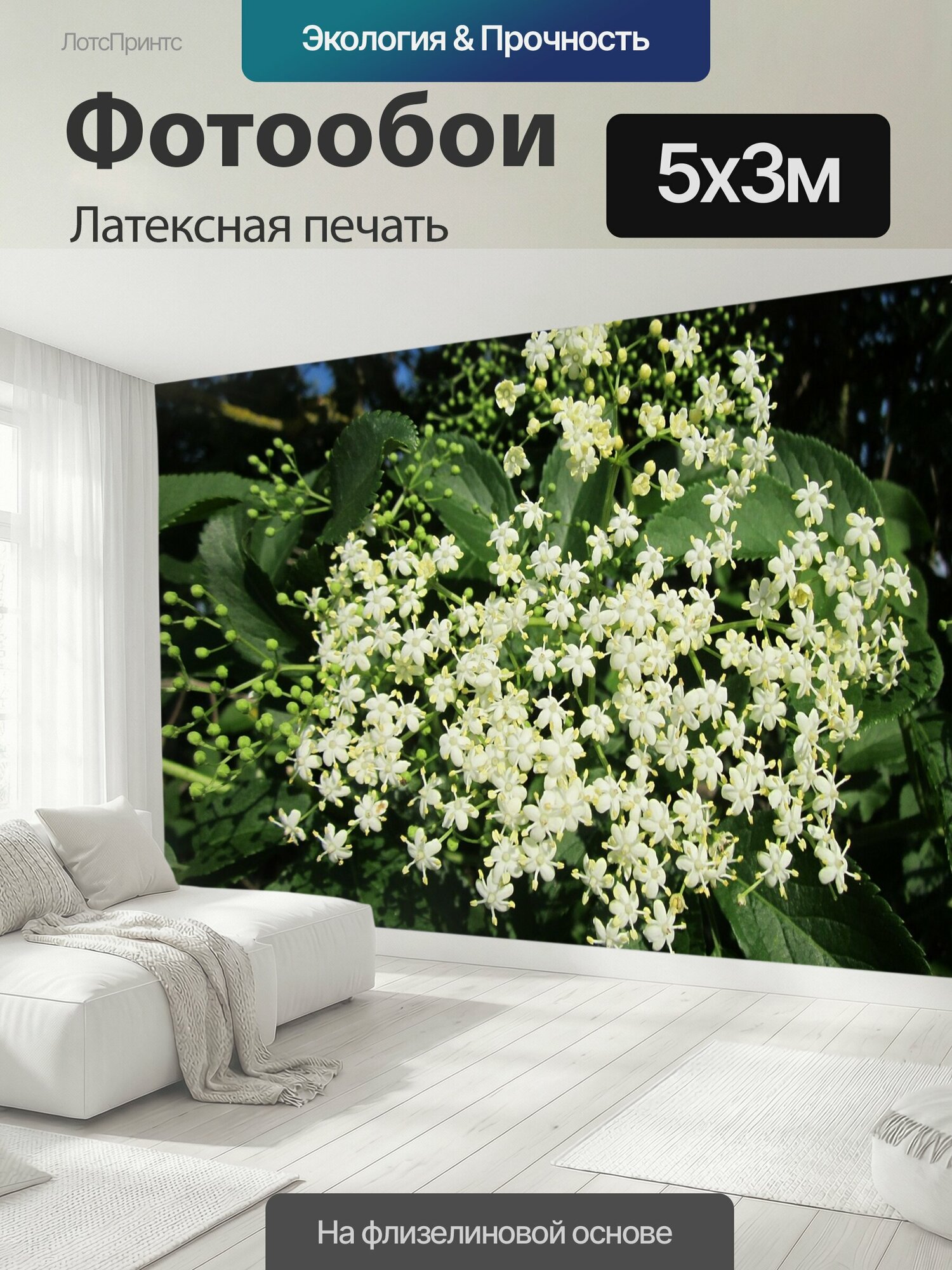 Фотообои моющиеся ударопрочные "Самбук черный, старейшина, бузина" 500x300 см. латексная печать