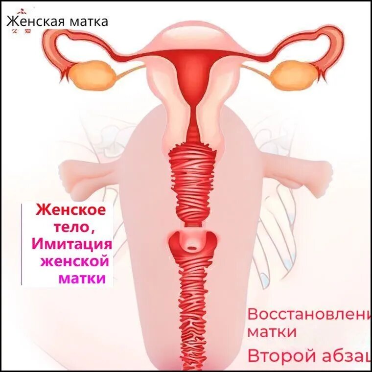 Устройство для мужской мастурбации/Имитация женской матки, секс-товары