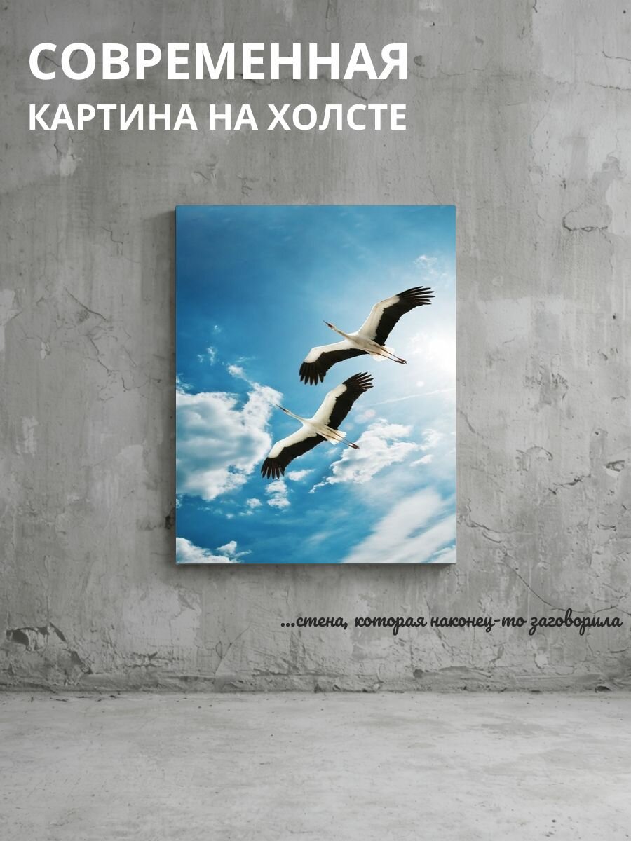 Картина на холсте Птицы 60x80 см