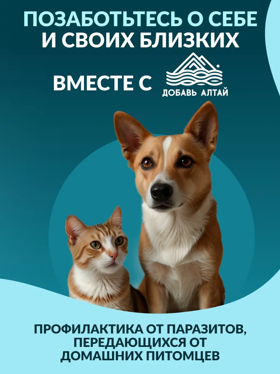 Антипаразитарный комплекс с дигидрокверцетином — фото 1