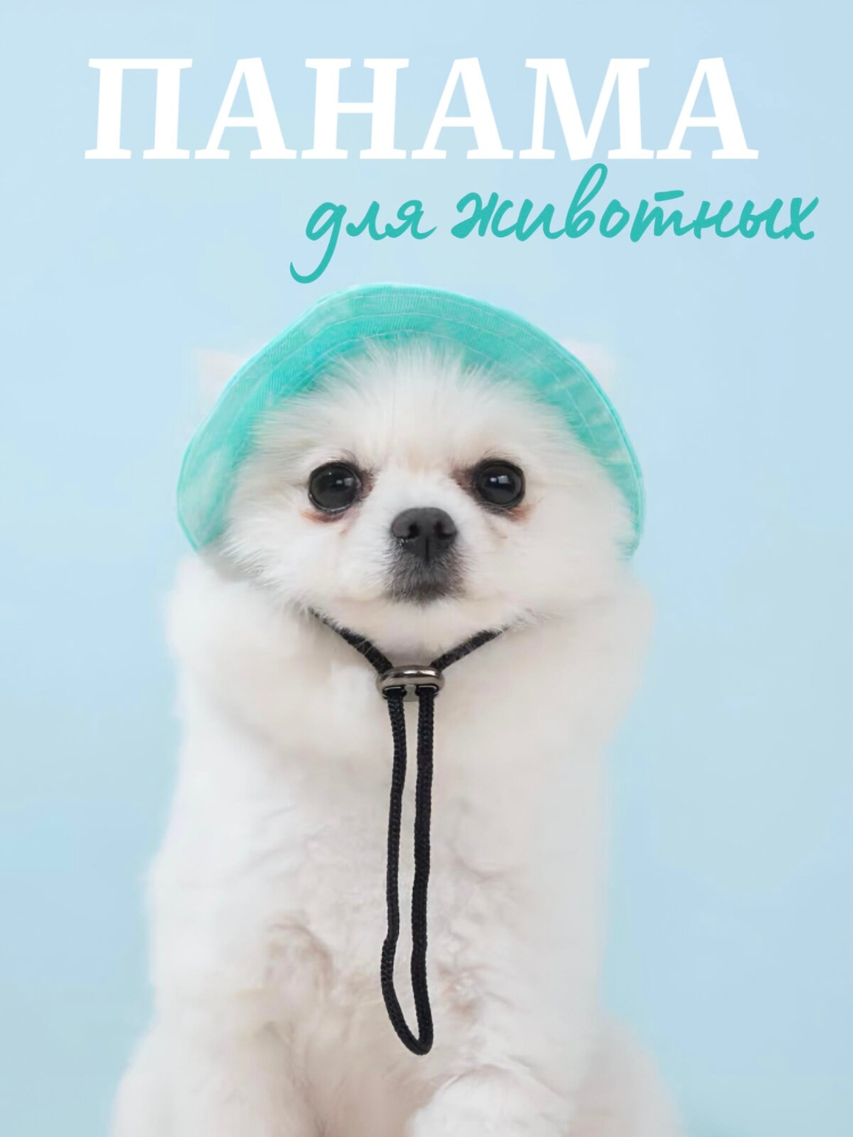 Панама для собак и кошек