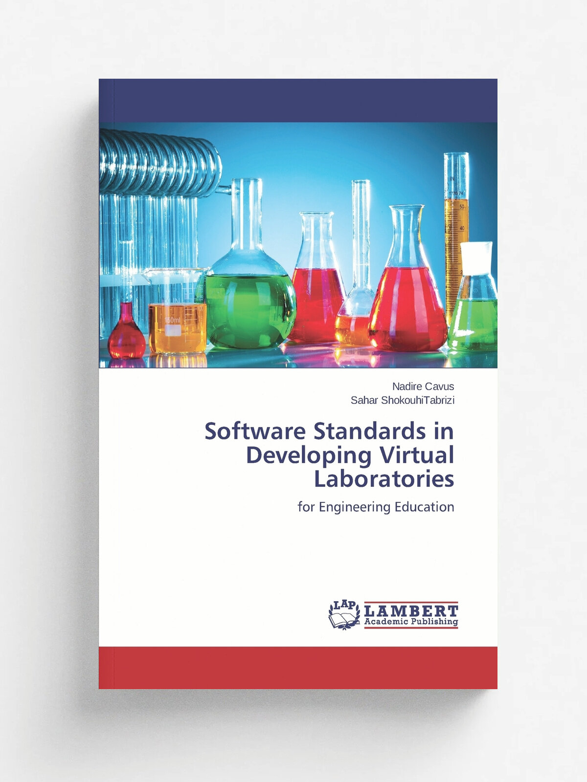 Software Standards in Developing Virtual Laboratories