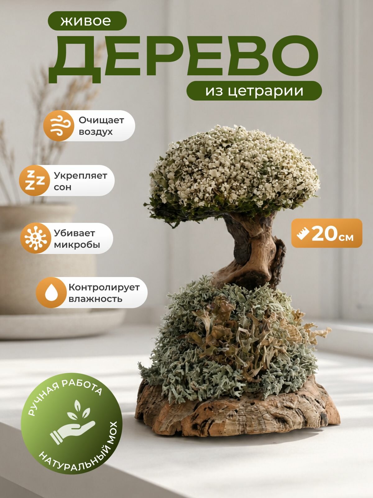 Декор для дома. Дерево с мхом цетрария