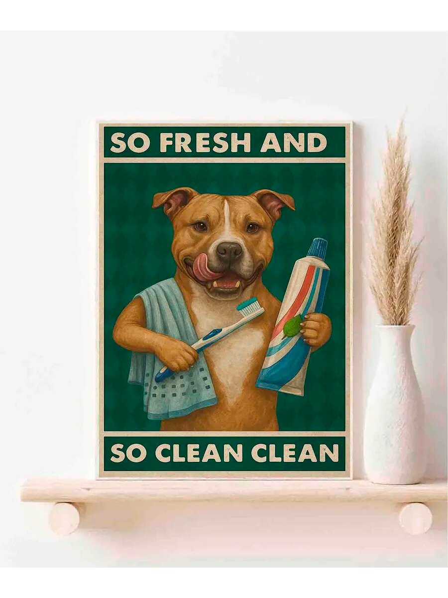 Стаффордширский бультерьер, So Fresh And So Clean Clean, Пл