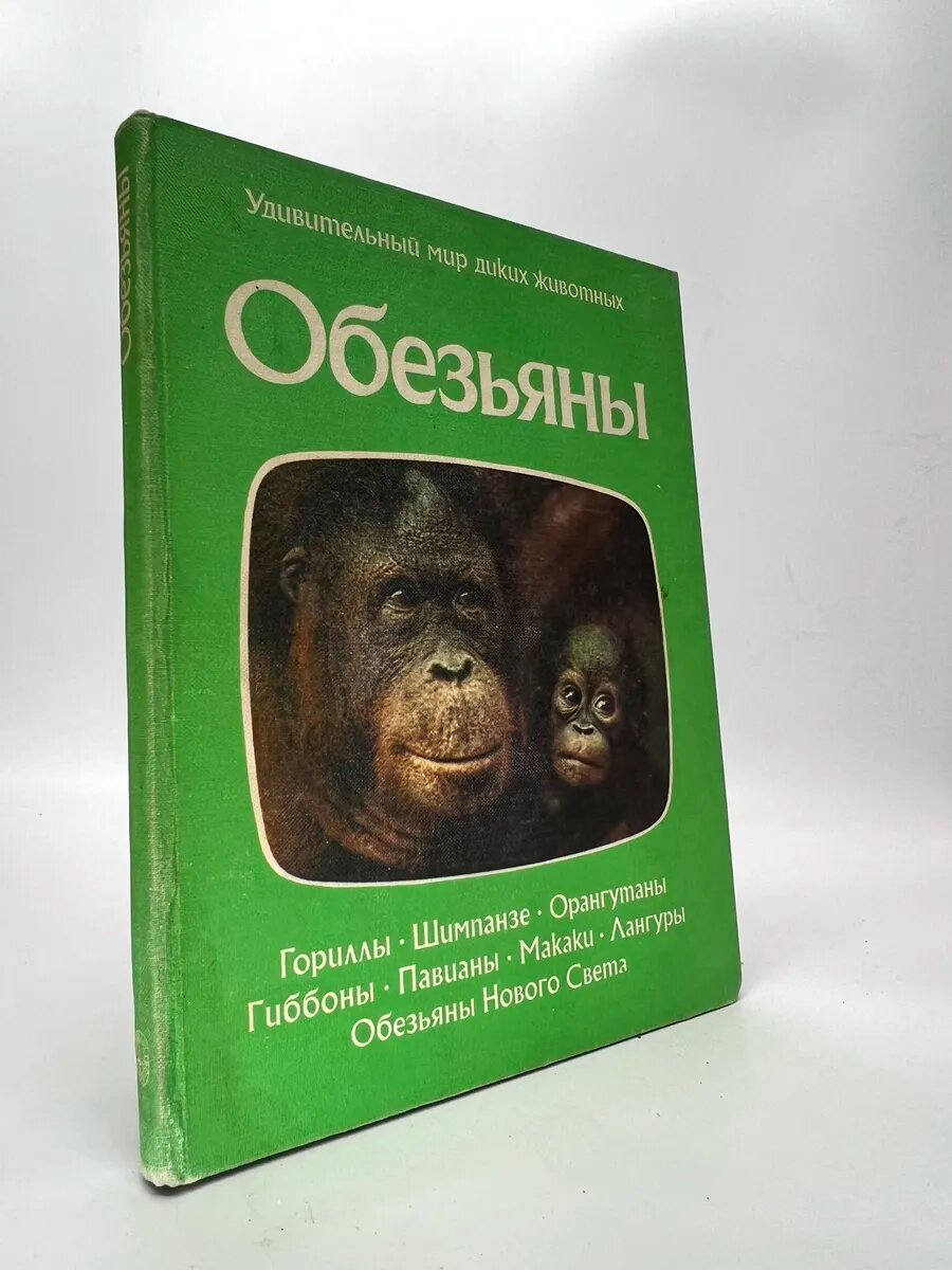 Обезьяны. Удивительный мир диких животных.