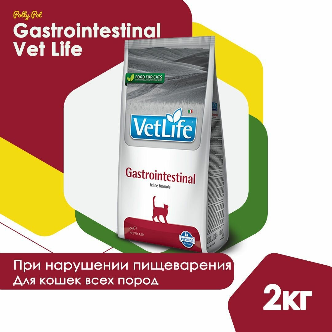 Cухой корм Farmina Vet Life Gastrointestinal для кошек при воспалительных заболеваниях ЖКТ и в восстановительный период, Фармина Вет Лайф лечебный рацион со вкусом курицы, 2кг