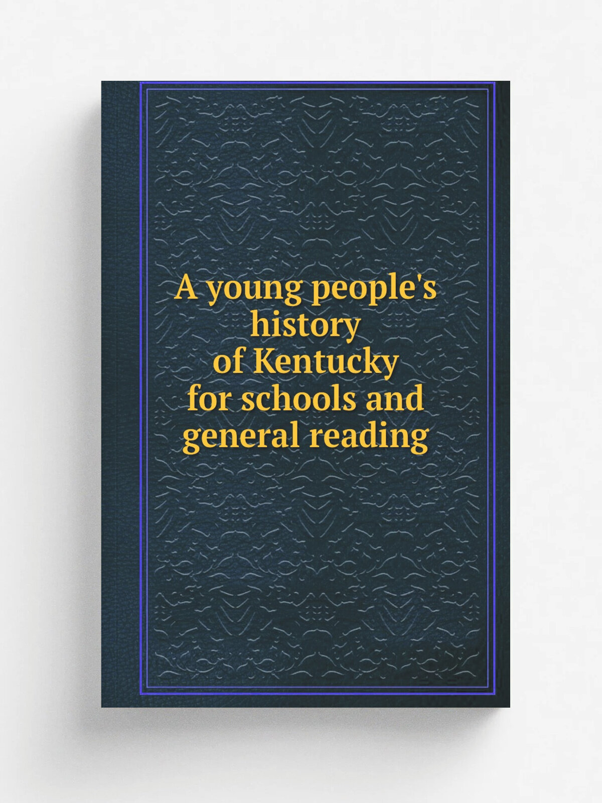 A young people's history of Kentucky for schools and general reading