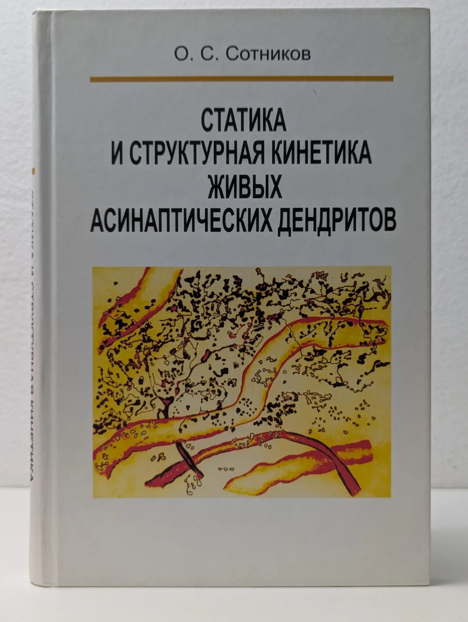 Статика и структурная кинетика живых асинаптических дендритов Сотников Олег Семенович 2008