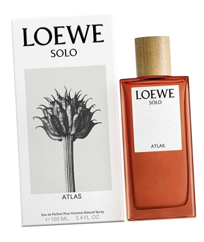 Мужской аромат Loewe Solo Atlas 100 мл - Лоеве Соло Атлас парфюмерная вода
