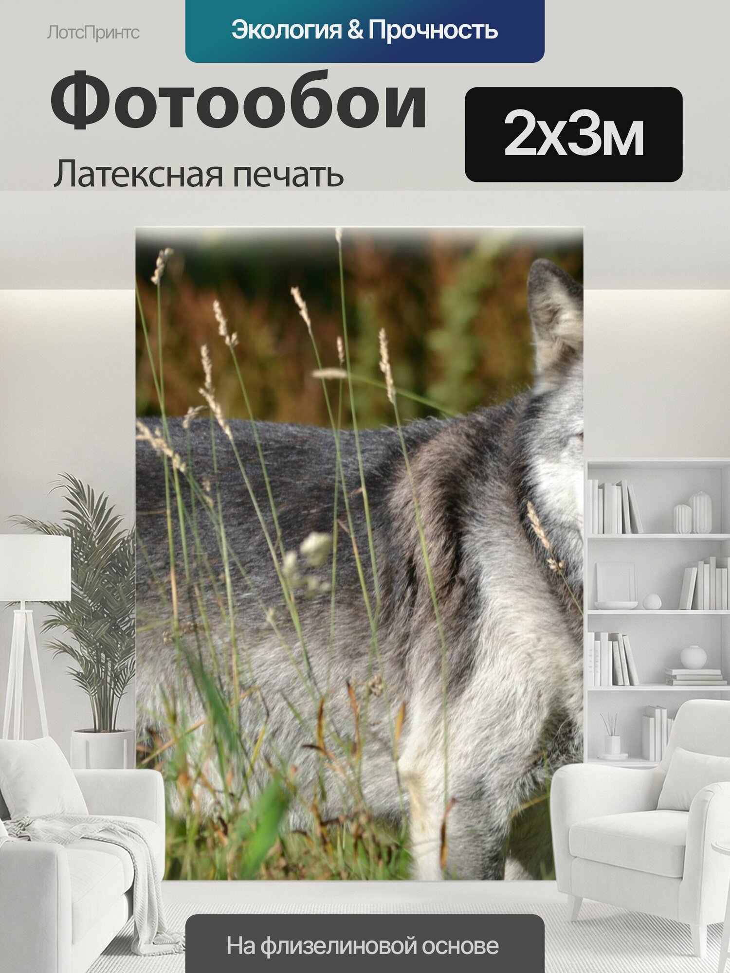 Фотообои моющиеся ударопрочные "Старик Старая серый волк Канадский на полдень старый волк мужчина лесоматериалы собака серый вой" 200x300 см. латексная печать