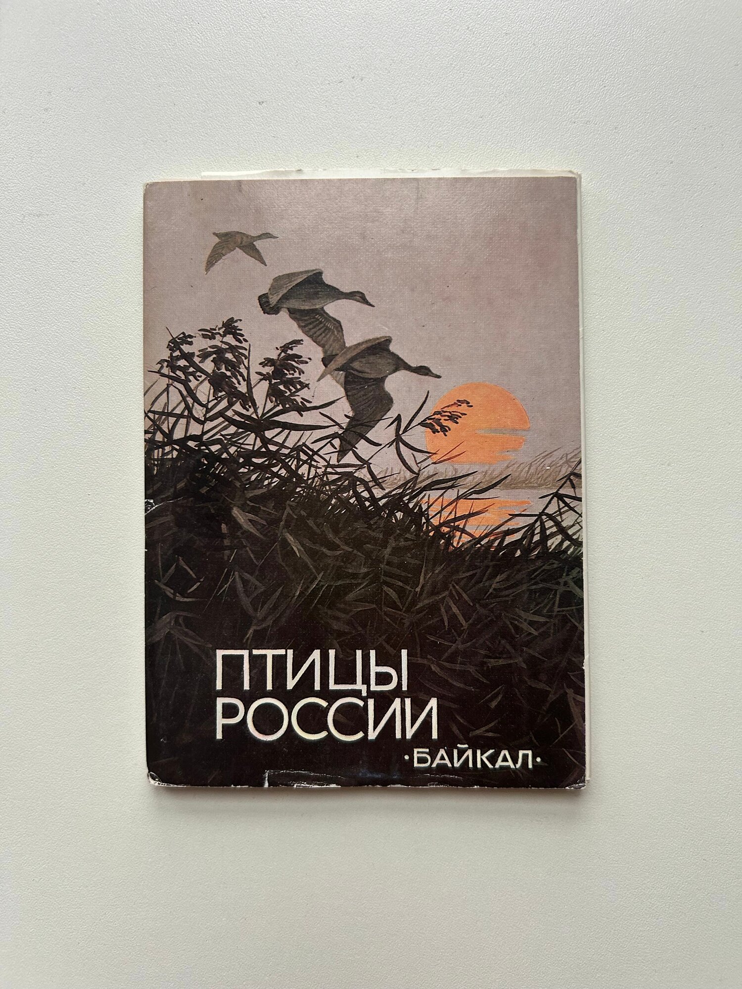 Набор открыток Птицы России. Байкал . Выпуск 2. Художник В. Г. Егоров. Полный комплект из 16 открыток. Издание 1984 года