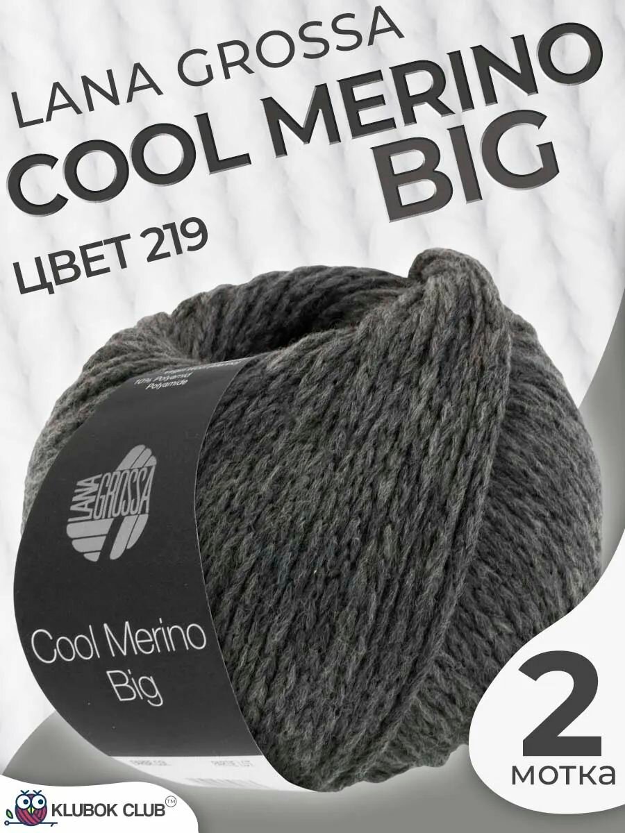 Пряжа для вязания Lana Grossa Cool Merino Big шнурок, цвет 219, 2 мотка