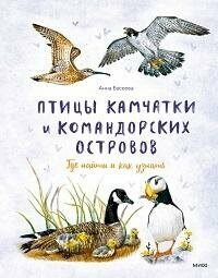 Книга "Птицы Камчатки и Командорских островов. Где найти и как узнать"