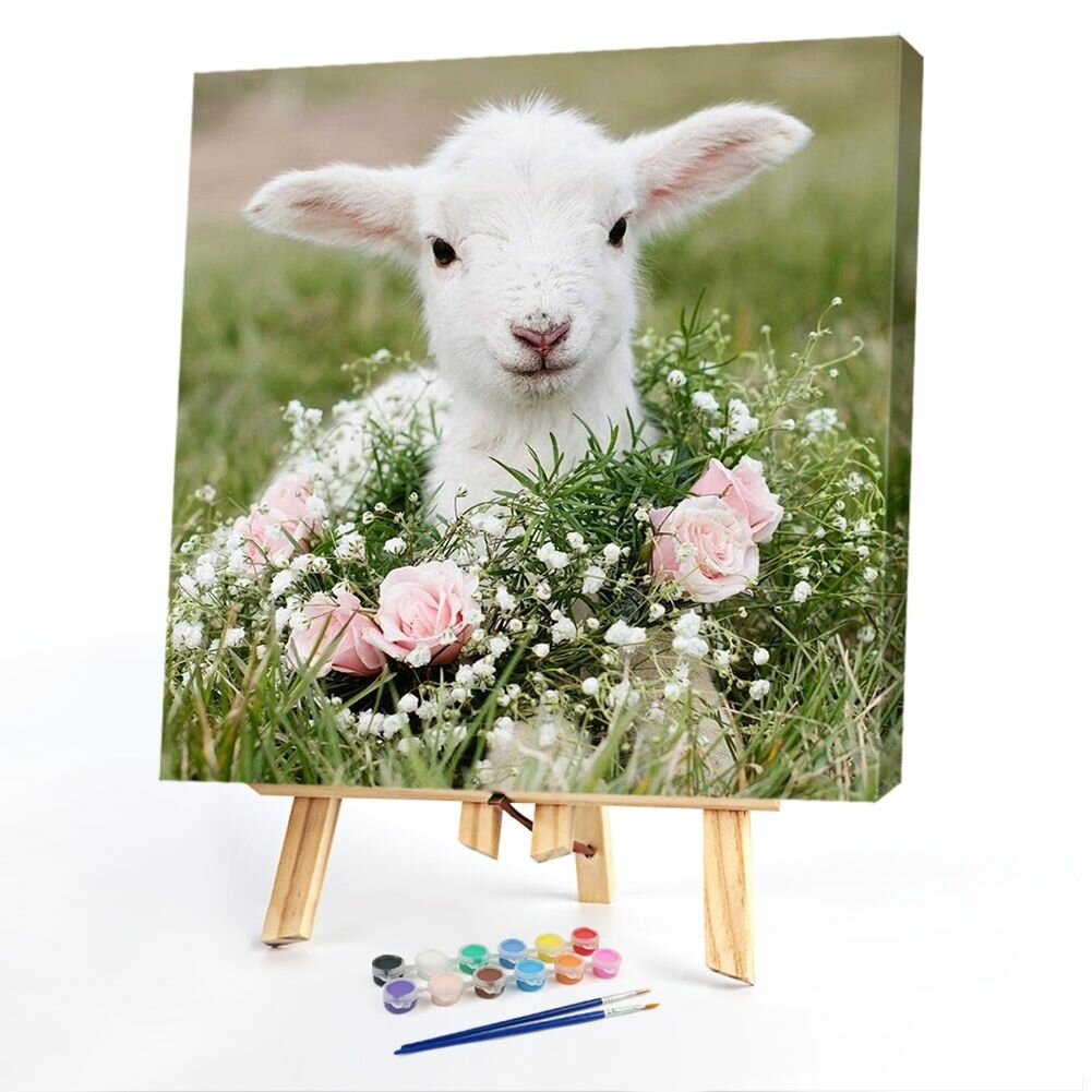 Картина на холсте Альпака, тема животные, 40x40 см