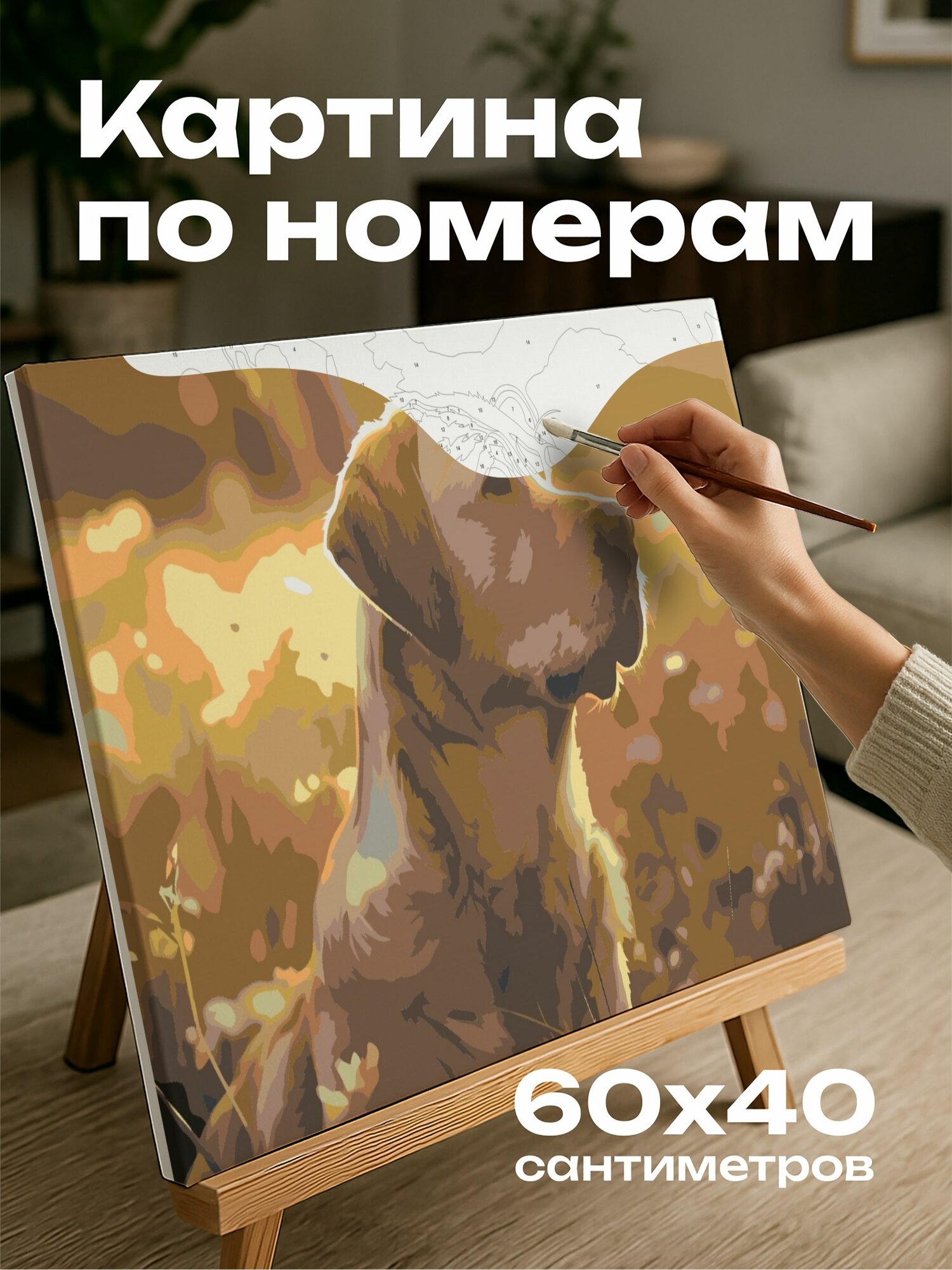 Картина по номерам 60x40 см, лабрадор, задумчивый взгляд, солнцем залитый луг, умный друг, естественная красота, f