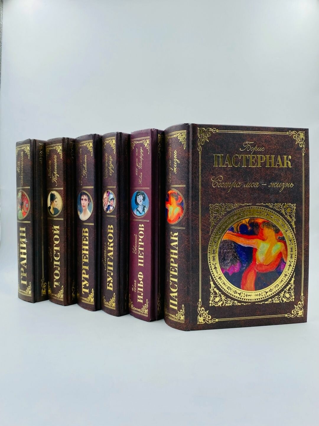 Серия Русская классика (комплект из 6 книг)