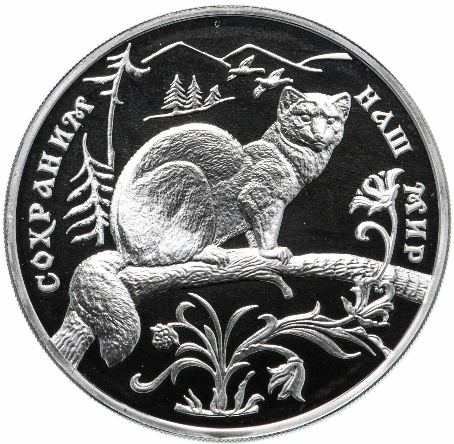 3 рубля 1994 ММД Proof Соболь "Сохраним Наш мир", Серебро 900