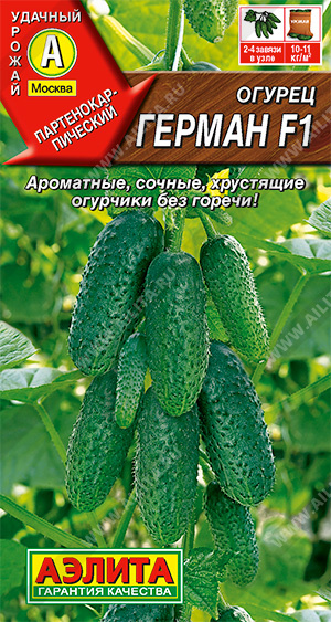Семена огурца аэлита "Герман F1", ультраскороспелые, партенокарпические, 10 шт.
