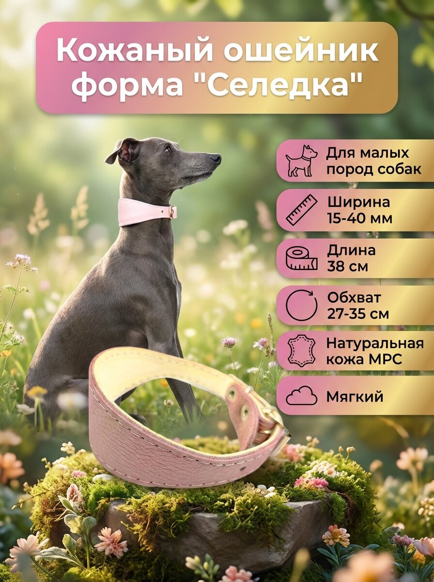 Ошейник "Селедка" из натуральной кожи.