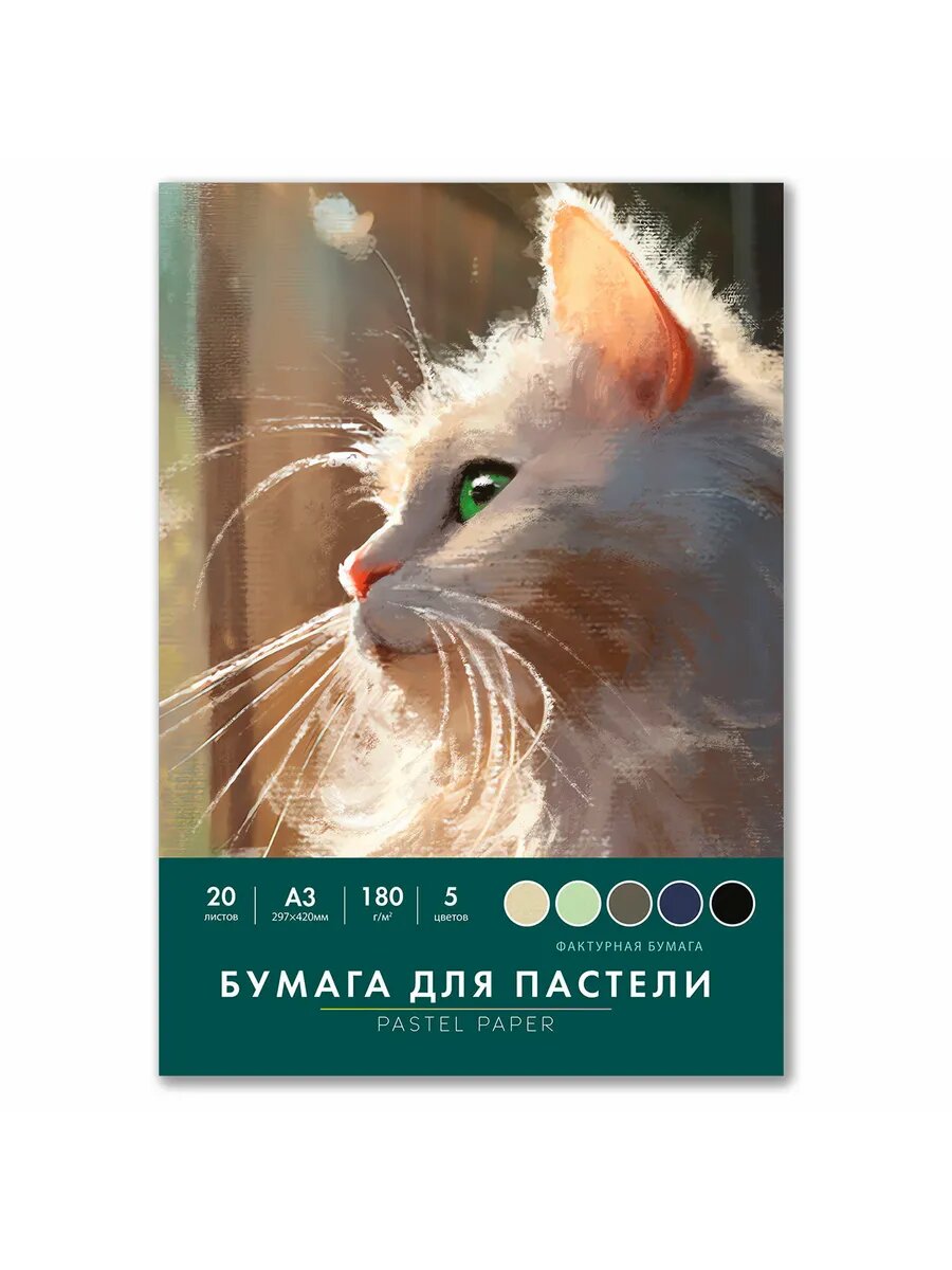 Бумага для пастели большая А3 в папке 20 листов 5 цветов