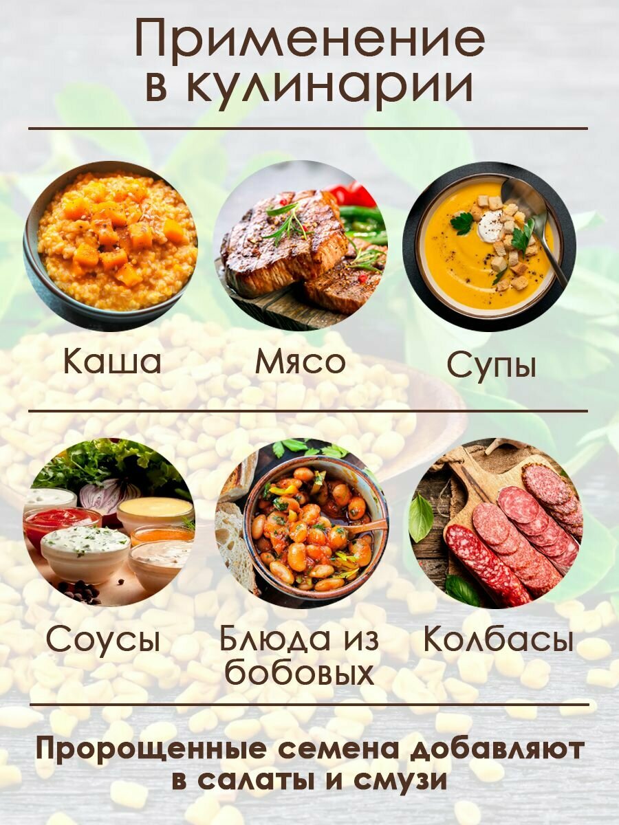 Пажитник семена 100 г — фото 1