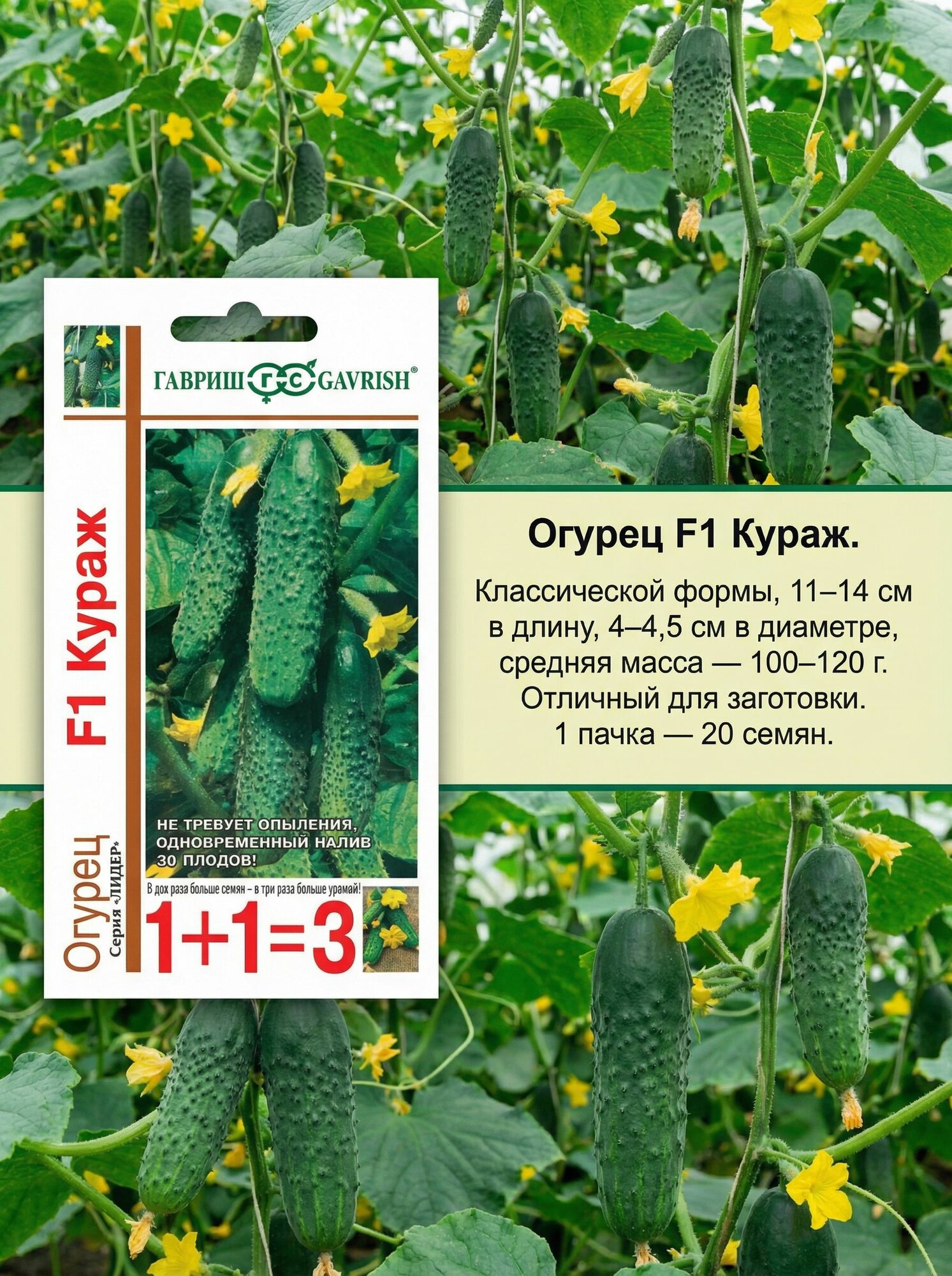 Семена Гавриш Огурец Кураж F1,20 семян