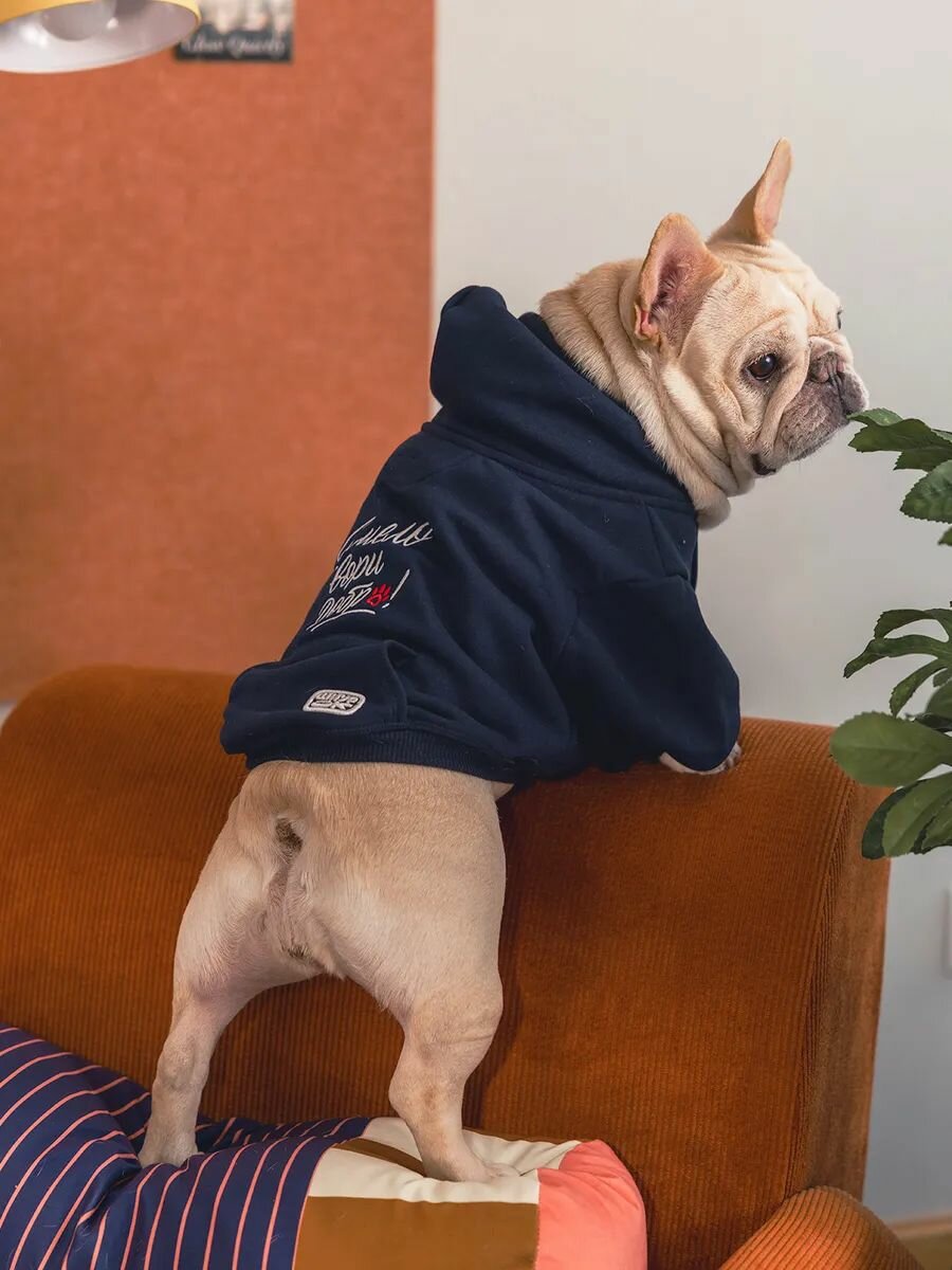 Кофта для собак с молнией (французский бульдог)