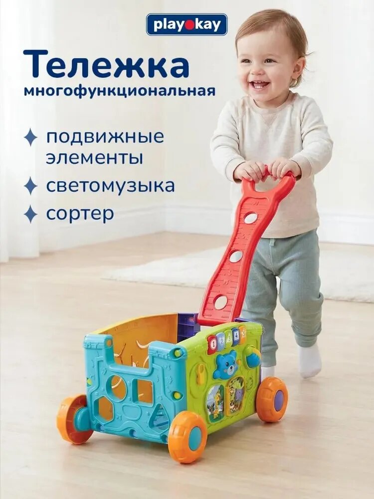 Игрушка сортер для малышей Play Kay - монтессори с тележкой 2 в 1