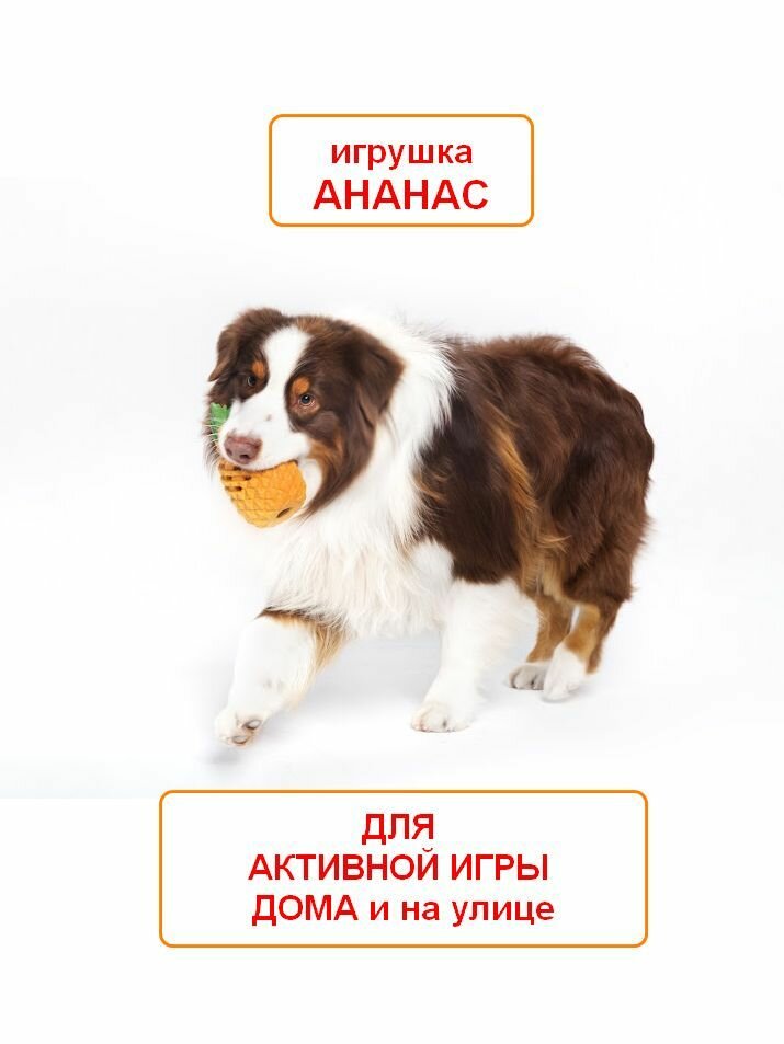 Игрушка ананас L без звука для средних, крупных собак. Развивающая, прочная, жевательная, для грызения и чистки зубов из натуральной резины-каучука. Диспенсер для лакомства/конг Petopia